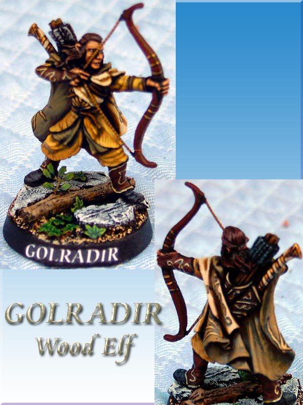 CoolMiniOrNot - golradir, wood elf by stealth penguin
