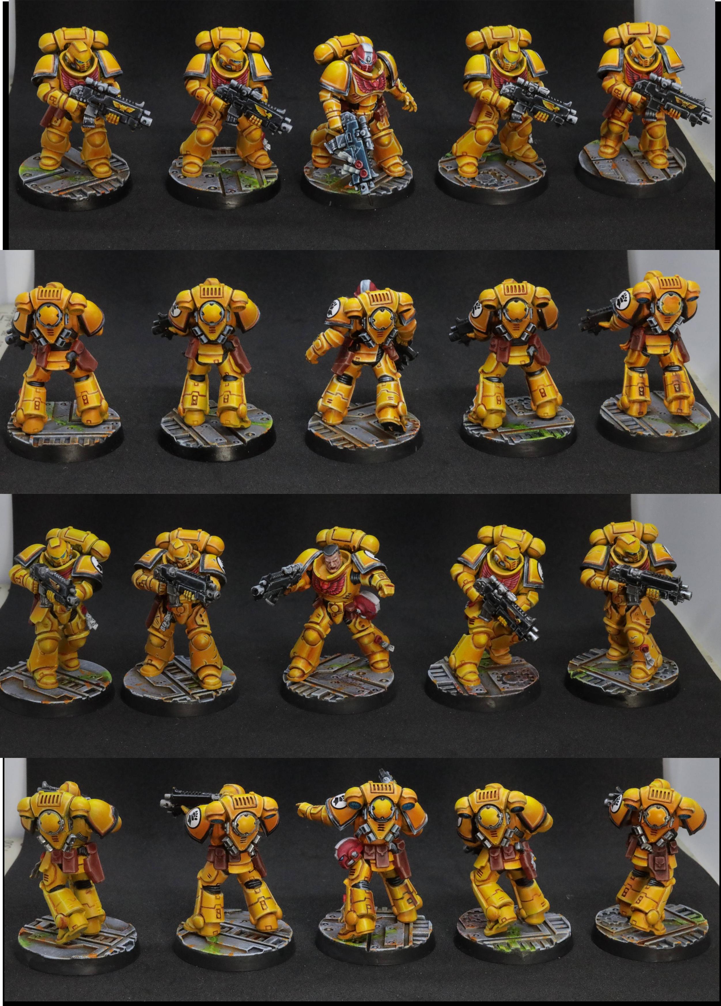 CoolMiniOrNot - Imperial Fists Intercessor Squad by zwings