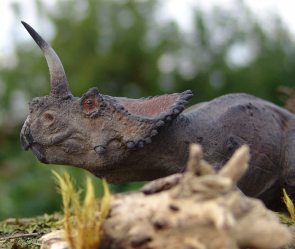 CoolMiniOrNot - Dinosaur : Centrosaurus by Gorgosaurus