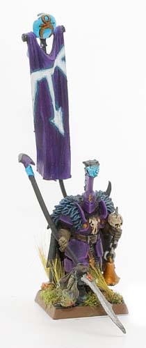 CoolMiniOrNot - Banner bearer of Slaanesh by roder